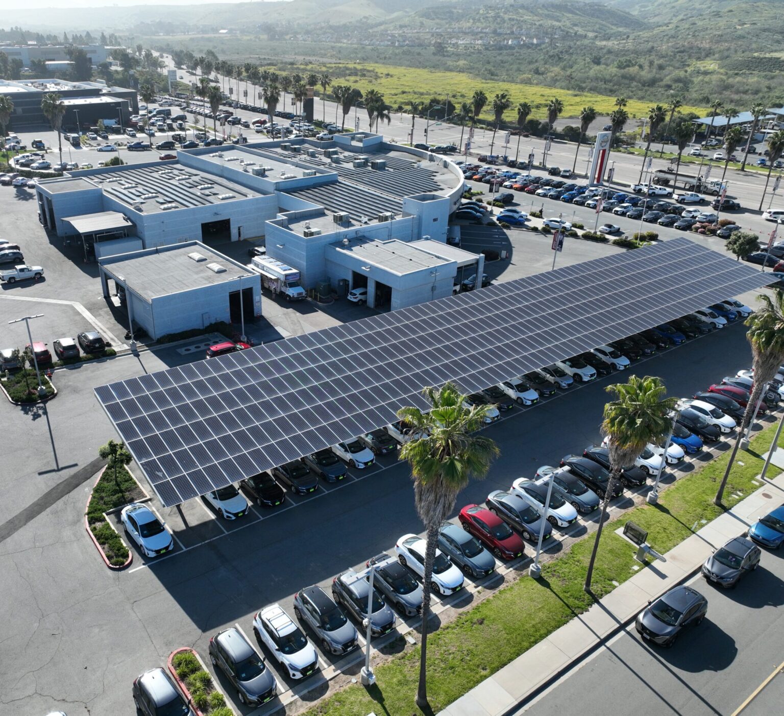 BYD Solar Panels: Complete 2025 Guide To Performance & Pricing